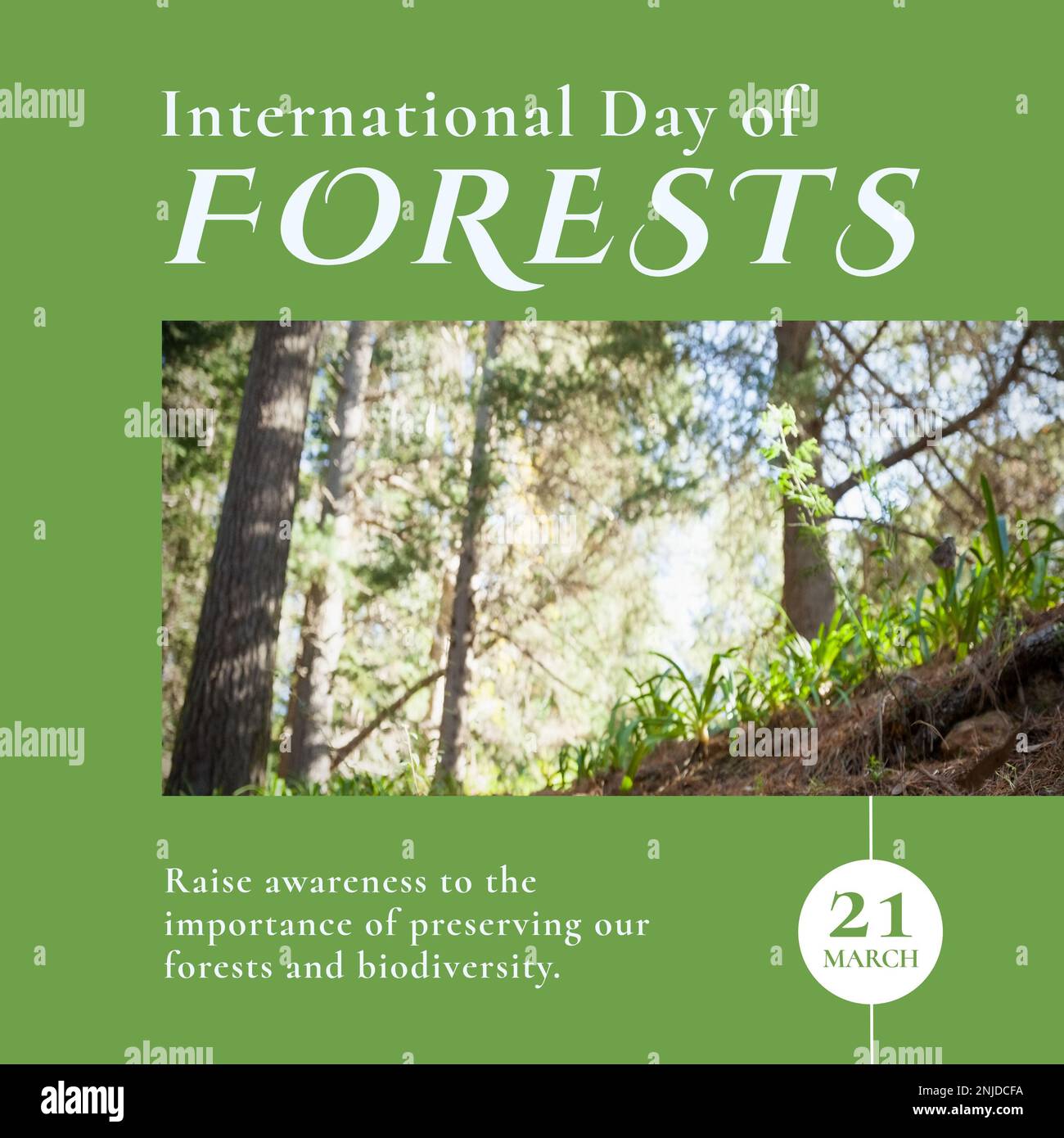 Composition of international day of forests text over forest on green ...