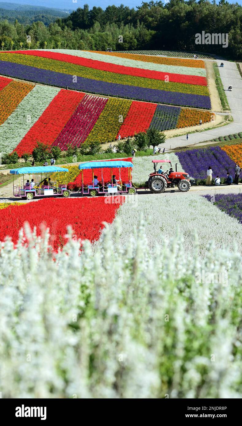 Various kinds of flowers are in full bloom to make spectacular views ...