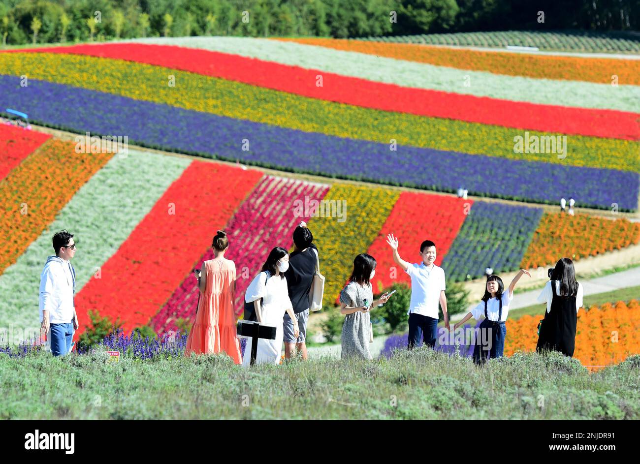 Various kinds of flowers are in full bloom to make spectacular views ...