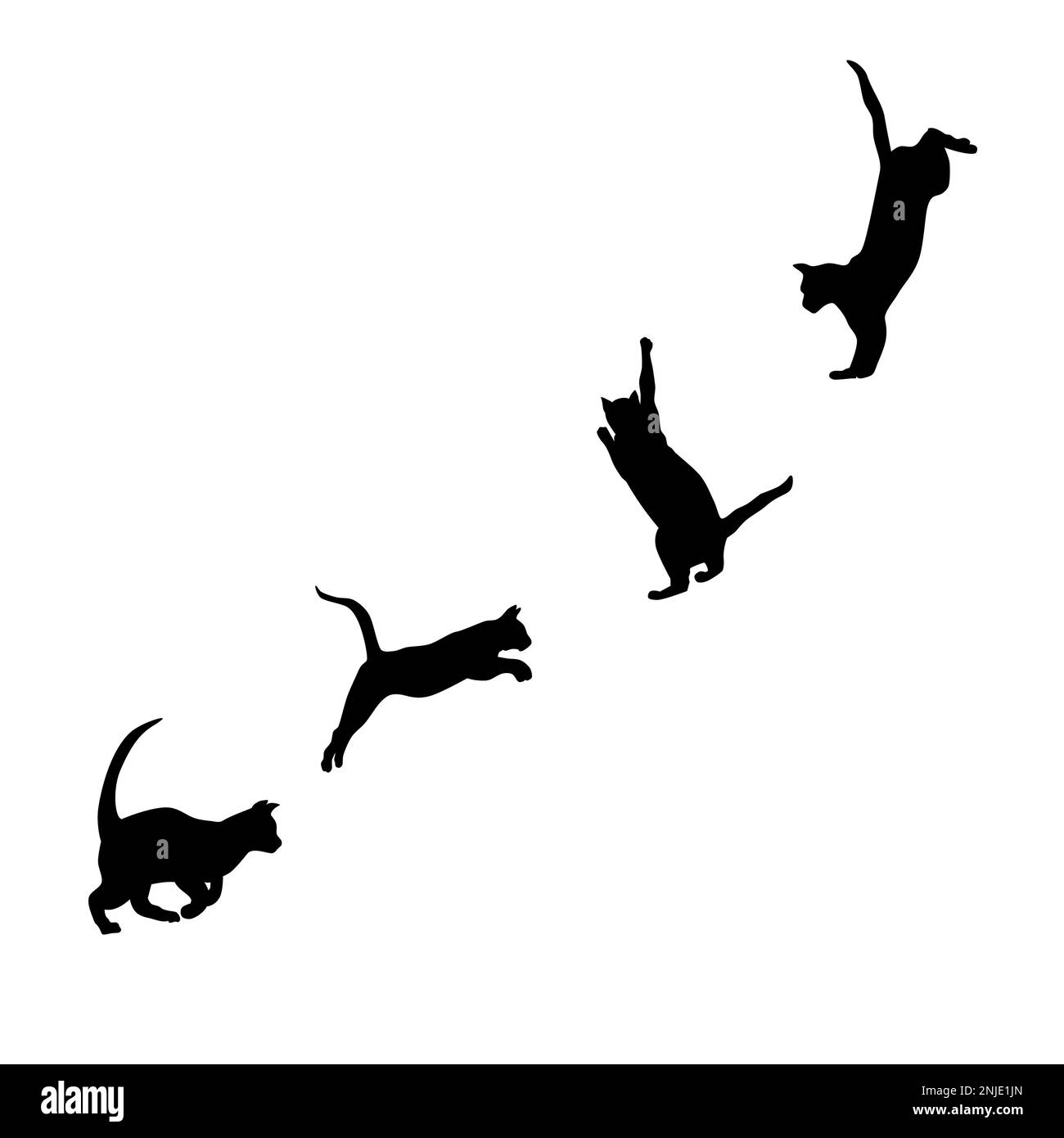 Cats in different moving positions vector illustration Stock Vector ...