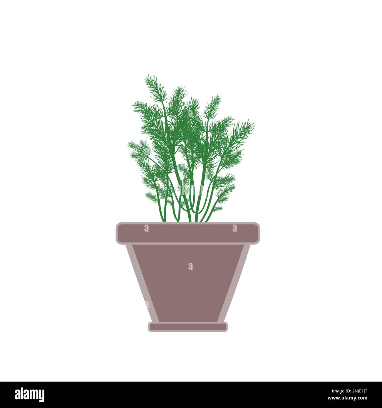 Home herb Stock Vector Images - Alamy