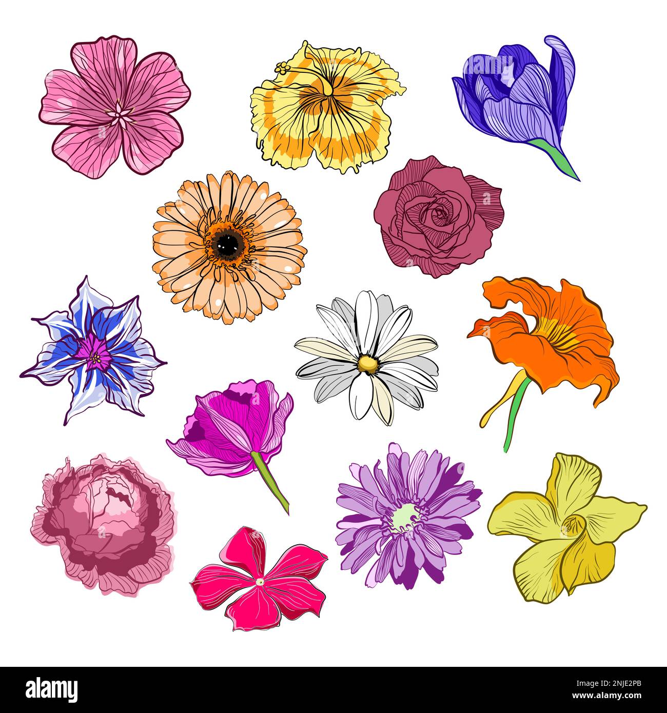 Set of flower heads vector illustration Stock Vector Image & Art - Alamy