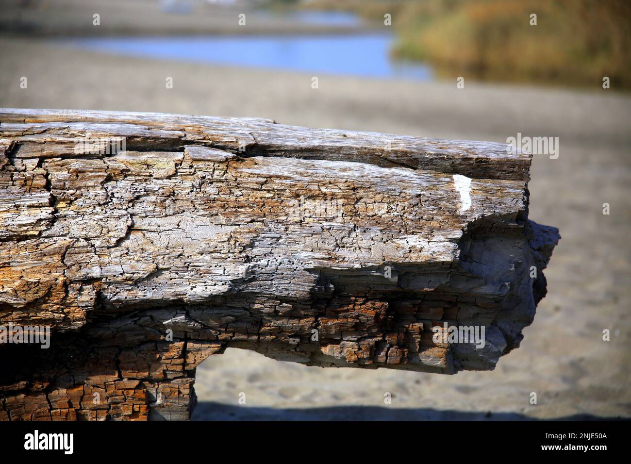Arrone river hi-res stock photography and images - Alamy