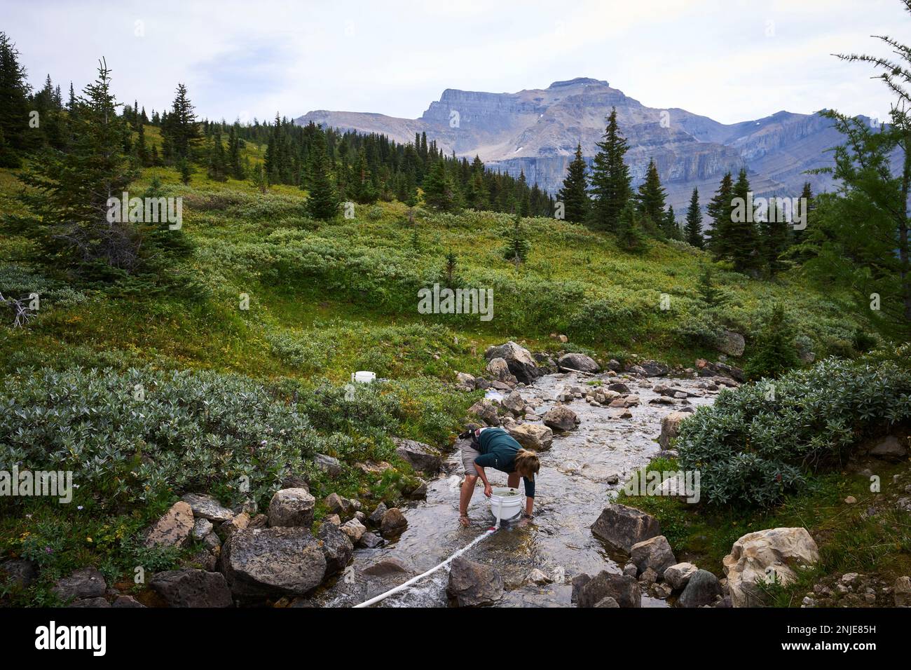 Parks Canada ecosystems scientist Megan Goudie works on the project to ...