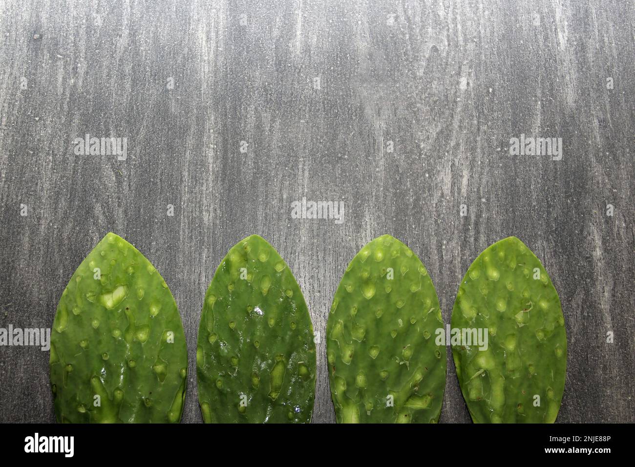 Nopales pear cactus agriculture hi-res stock photography and images - Alamy