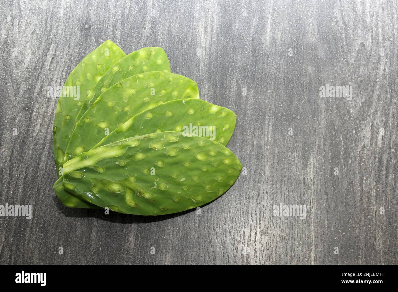 Nopales pear cactus agriculture hi-res stock photography and images - Alamy
