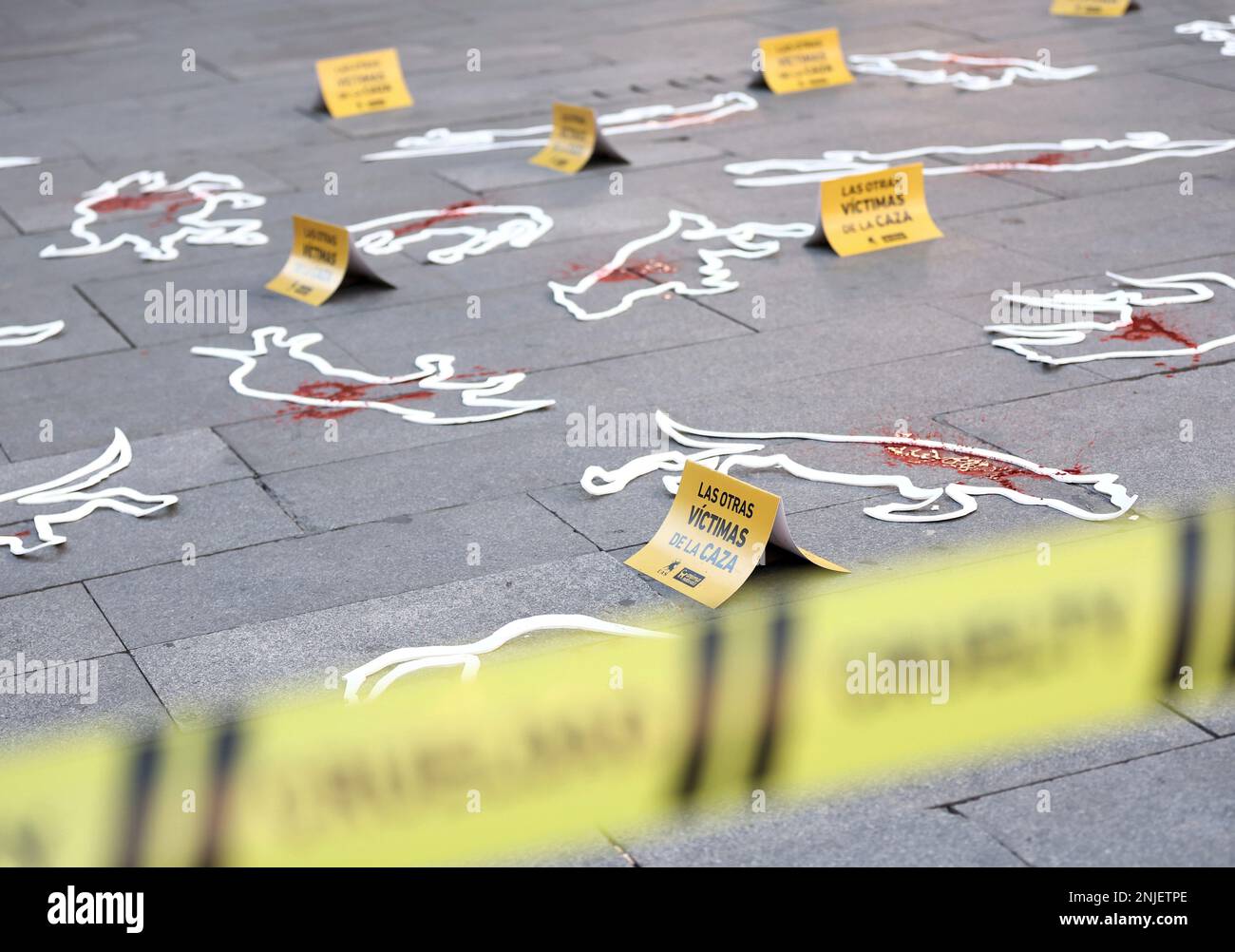Several posters during a protest in defense of hunting dogs, on ...