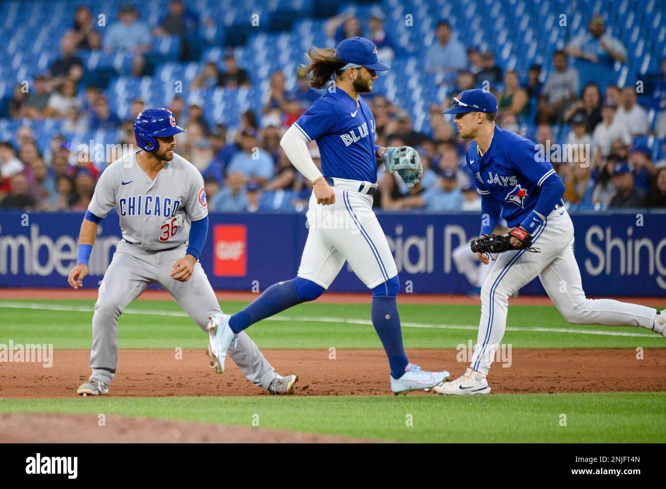 Chicago Cubs' Alfonso Rivas (36) looks back at Toronto Blue Jays first ...