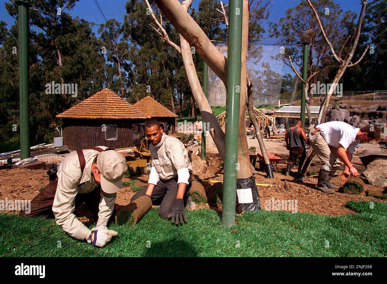 EBSCULPTURE 2/C/17MAR98/EF/LH-- An East African village is being ...