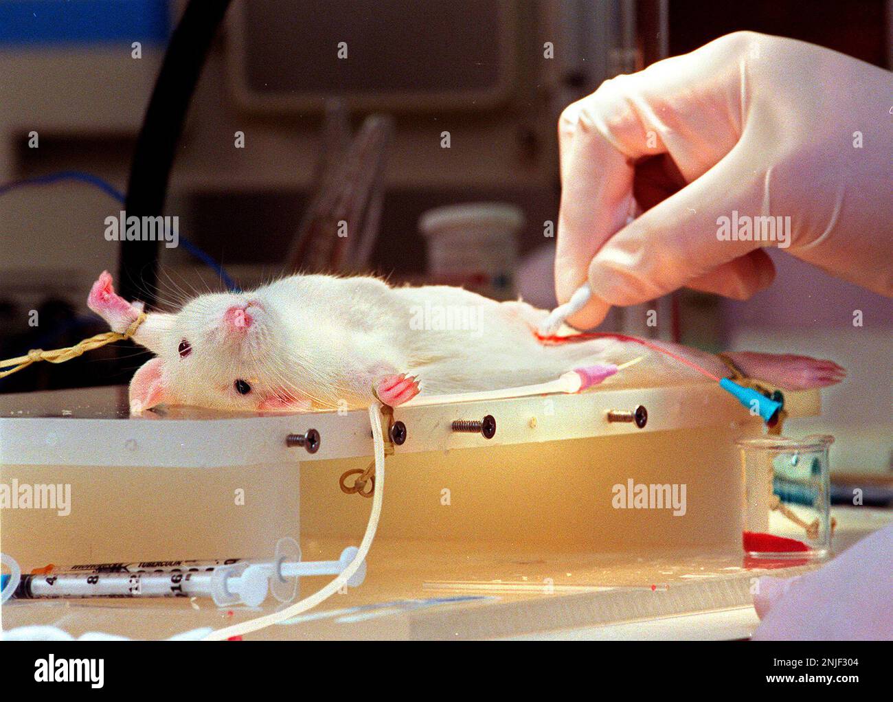 BIOTIME,INC 1/C/15OCT97/BU/LH--A little more than two thirds of the ...