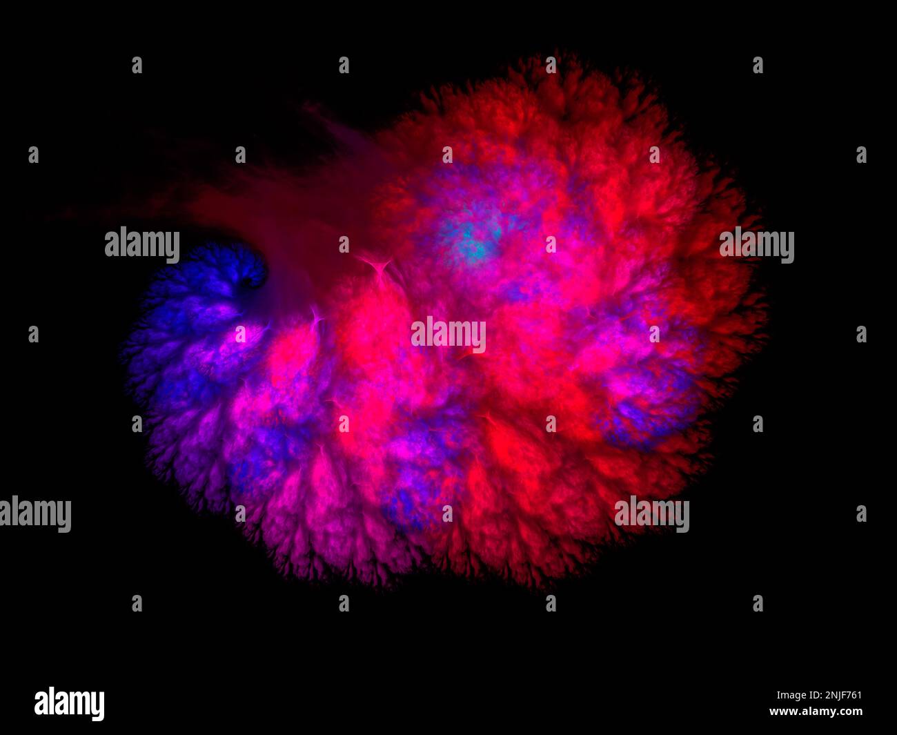 Discover the Mesmerizing World of Artificial Fractals: Explore the ...