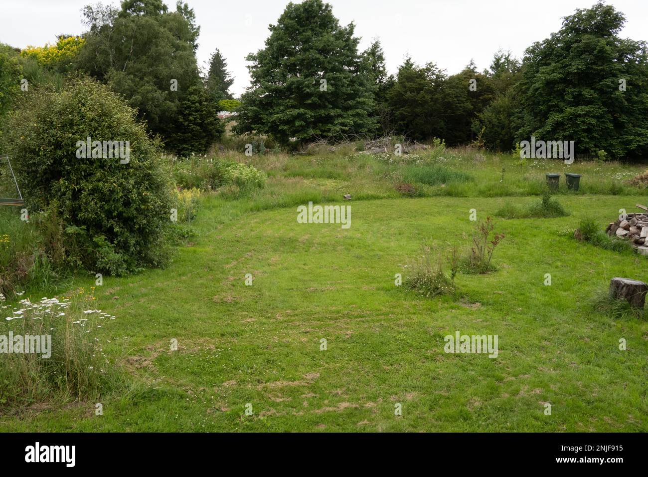 Large countryside garden with trees Stock Photo - Alamy