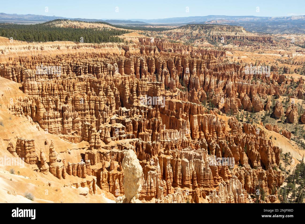 Tedy roosevelt hi-res stock photography and images - Alamy