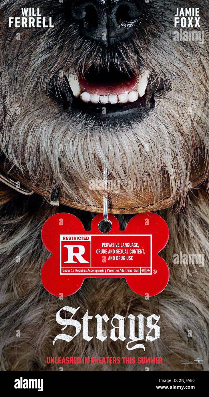 STRAYS, US advance poster, 2023. © Universal Pictures / Courtesy ...