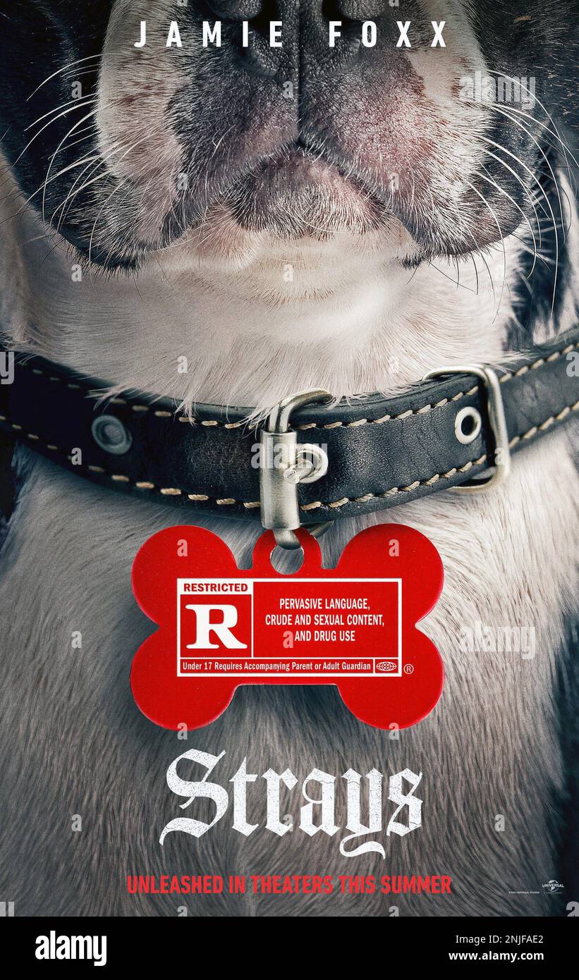 STRAYS, US advance poster, 2023. © Universal Pictures / Courtesy ...