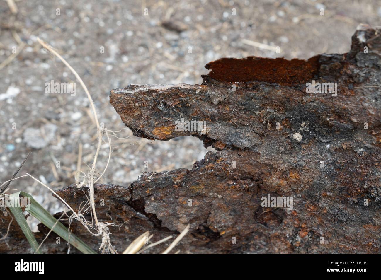 Rusty metal barrel texture, barren atmosphere Stock Photo - Alamy