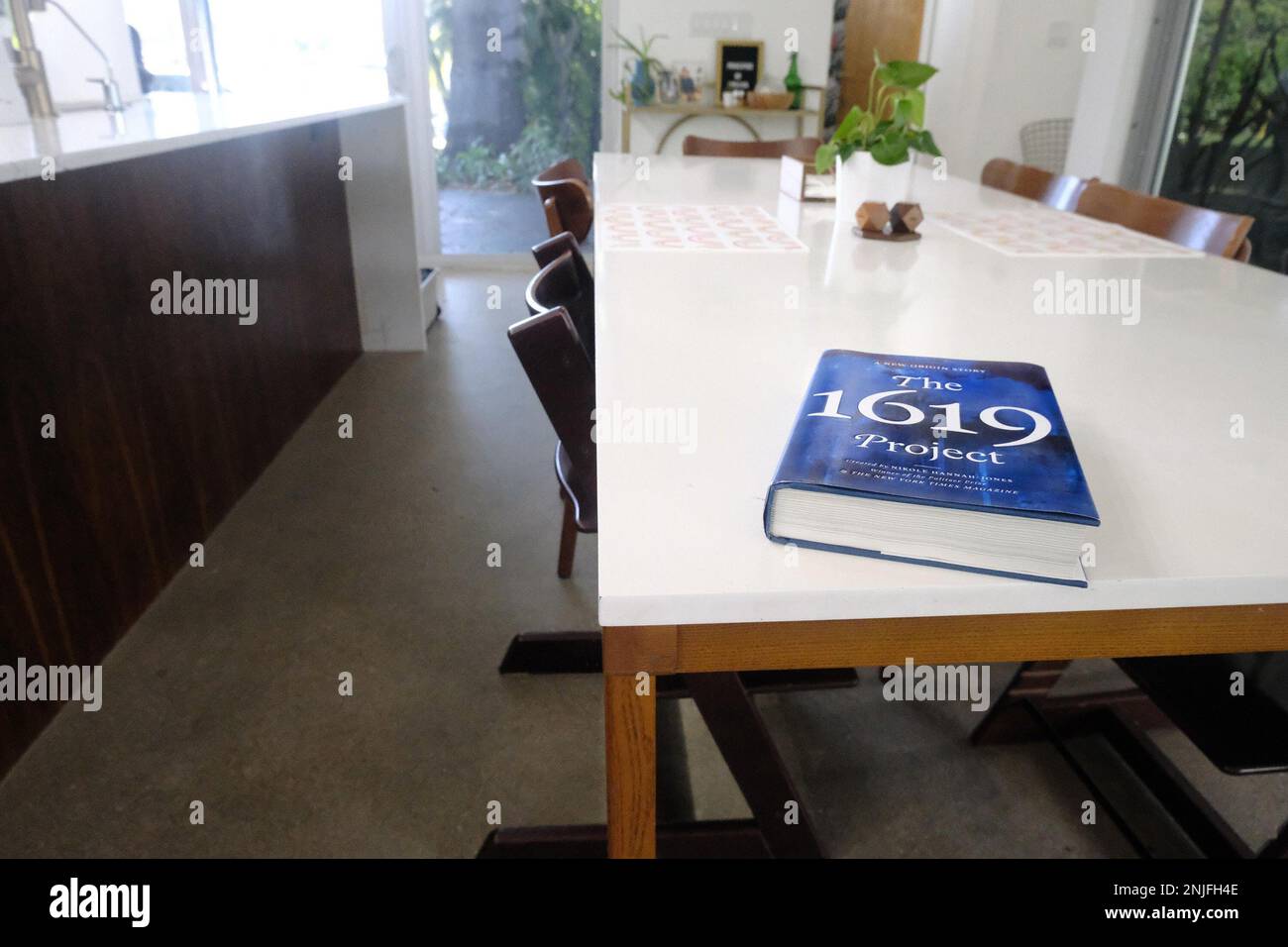 THE 1619 PROJECT, Race', (Season 1, ep. 102, aired Jan. 26, 2023 ...