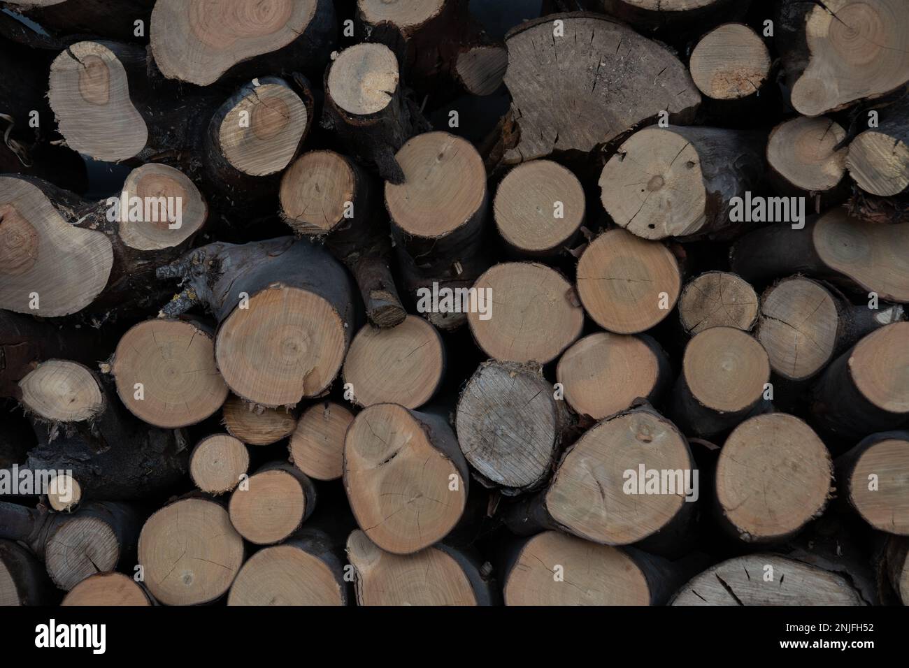 Firewood logs of different sizes stacked in a woodshed Stock Photo - Alamy