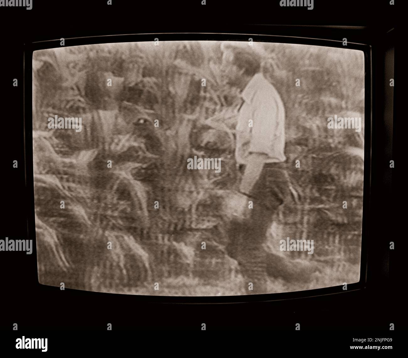 Sony tv 1970s hi-res stock photography and images - Alamy