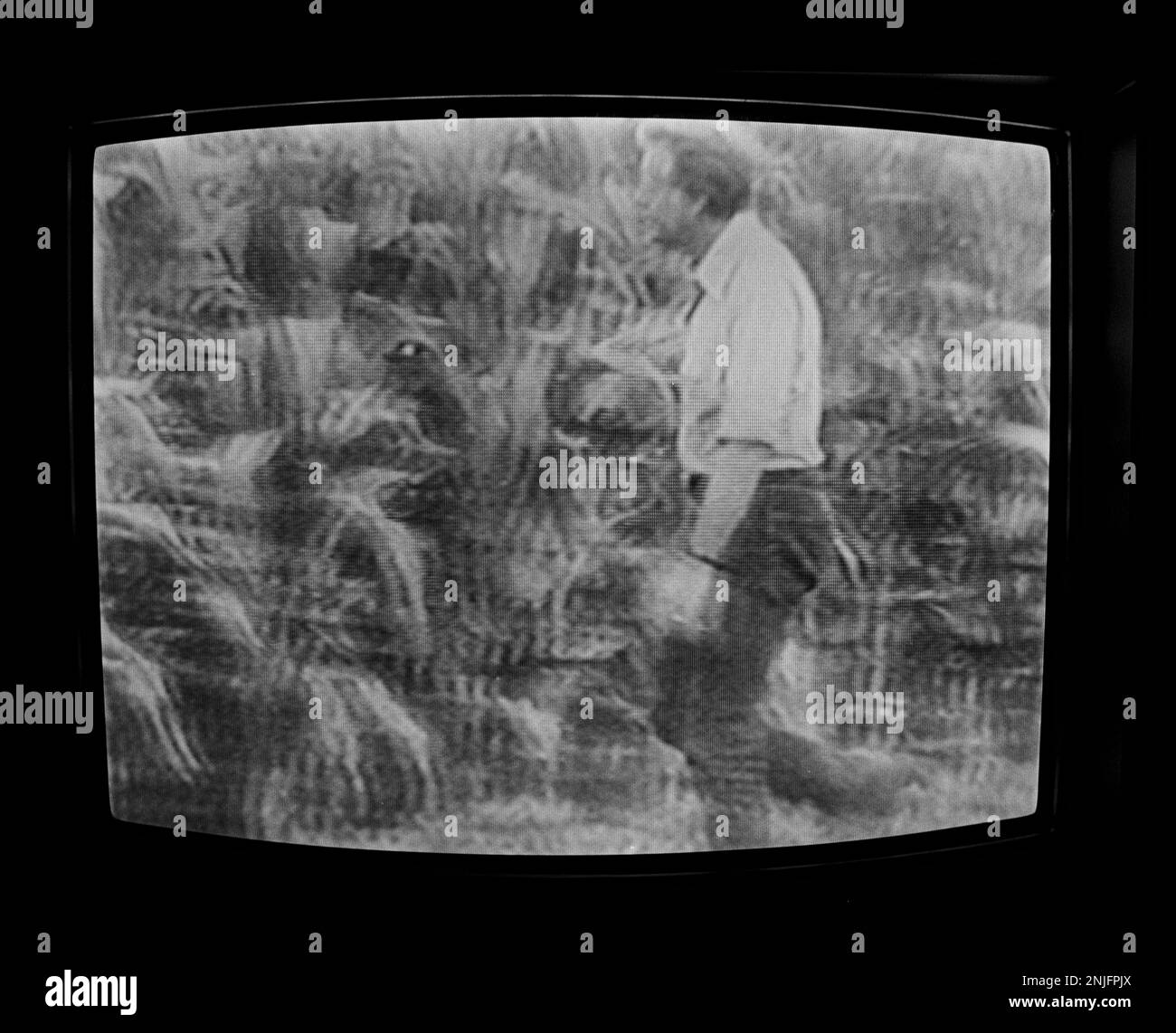 Presidential campaign ads hi-res stock photography and images - Alamy