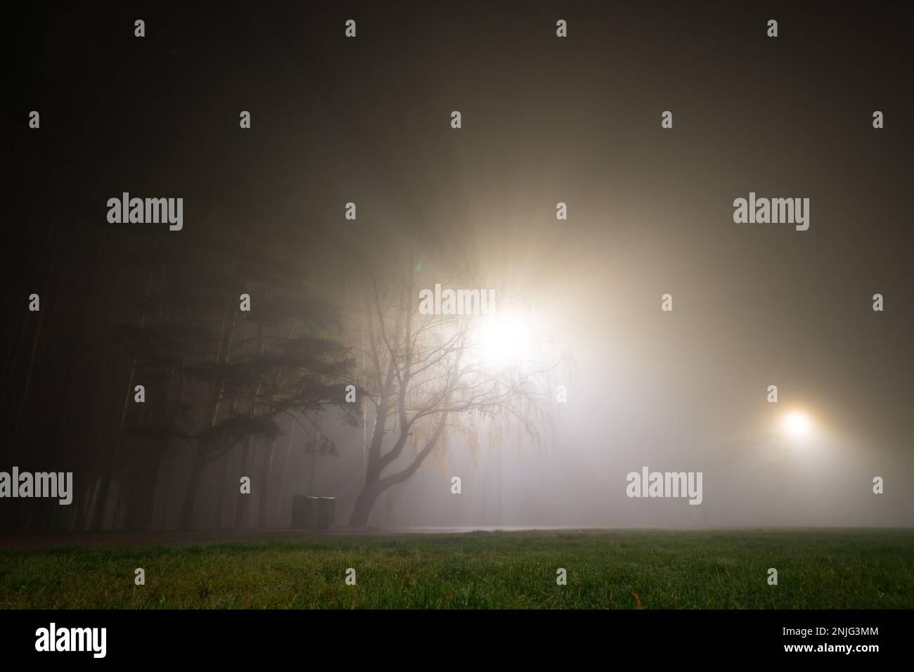 Monster in fog hi-res stock photography and images - Alamy