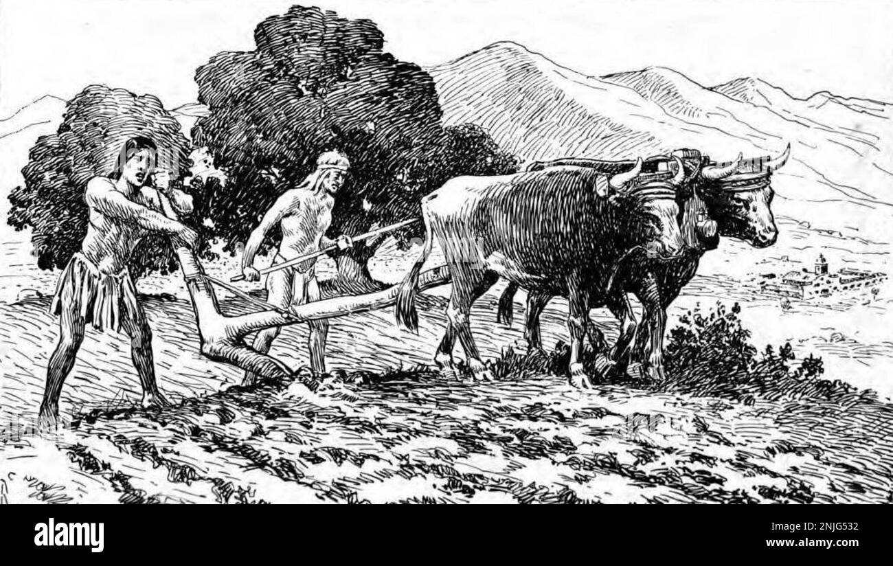 Natives utilize a primitive plow Stock Photo - Alamy