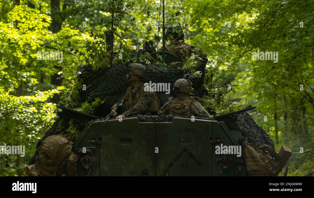 U.S. Marines with 2d Light Armored Reconnaissance Battalion (LAR), 2d ...