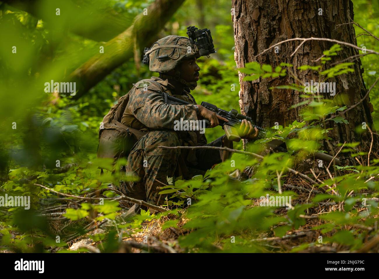U.S. Marine Corps Lance Cpl. Daquon Luster, a Hayti, Missouri, native ...