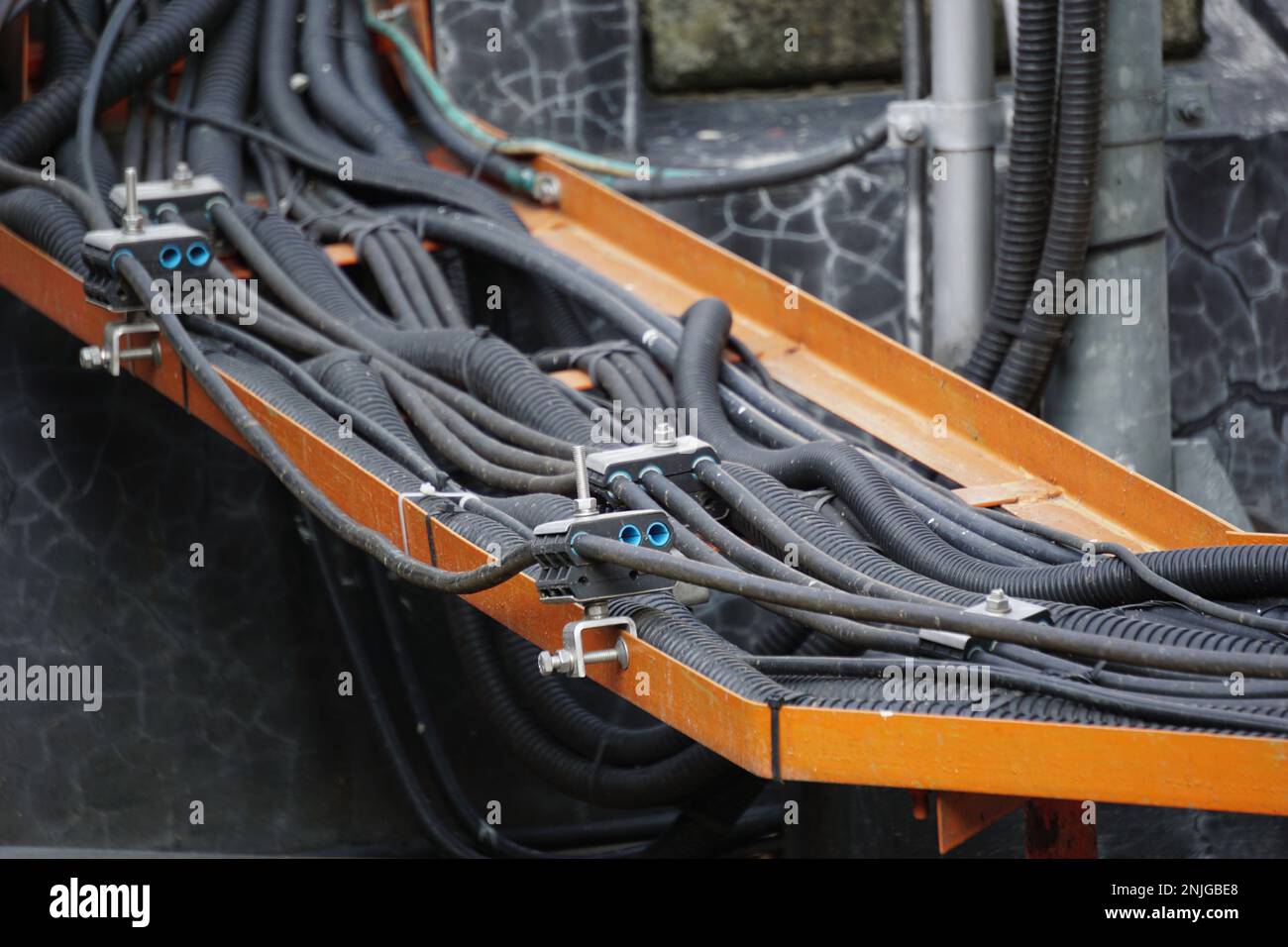 Electric cable network with natural background Stock Photo - Alamy