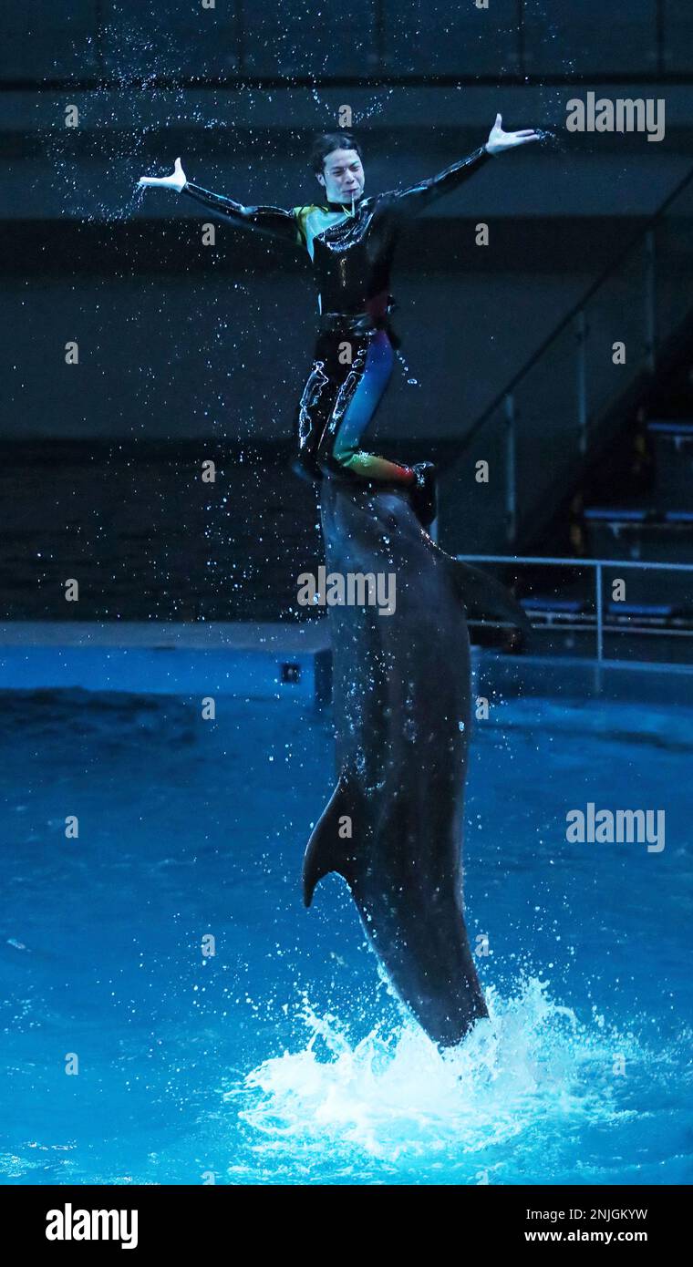 A spectacular dolphin show collaborating with light effects and music ...