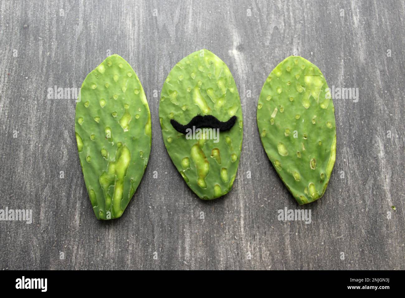 Nopal face with mustache and bow tie festive mexican style on wooden ...