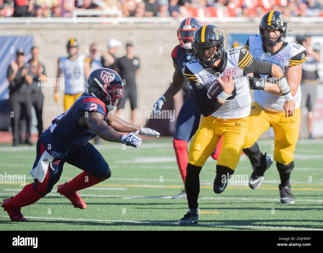 Hamilton Tiger-Cats quarterback Matthew Shiltz runs for yardage against ...