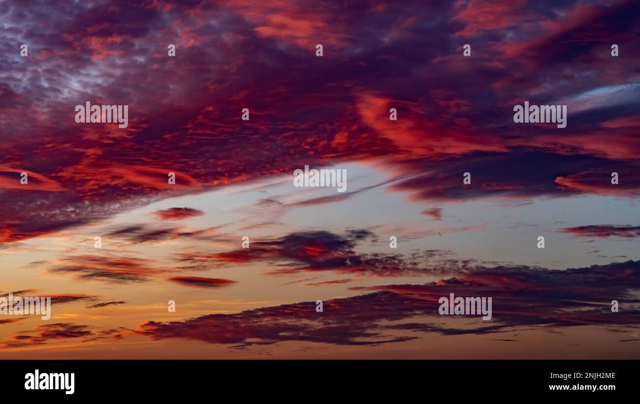 Sunset sky. Cirrocumulus and cirrostratus clouds during sunset ...