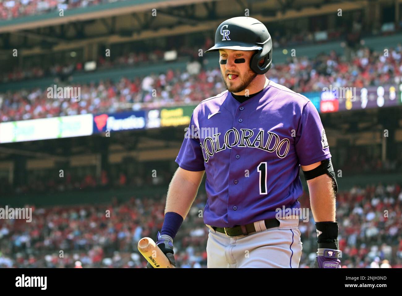 ST. LOUIS, MO - AUGUST 18: Colorado Rockies center fielder Garrett ...