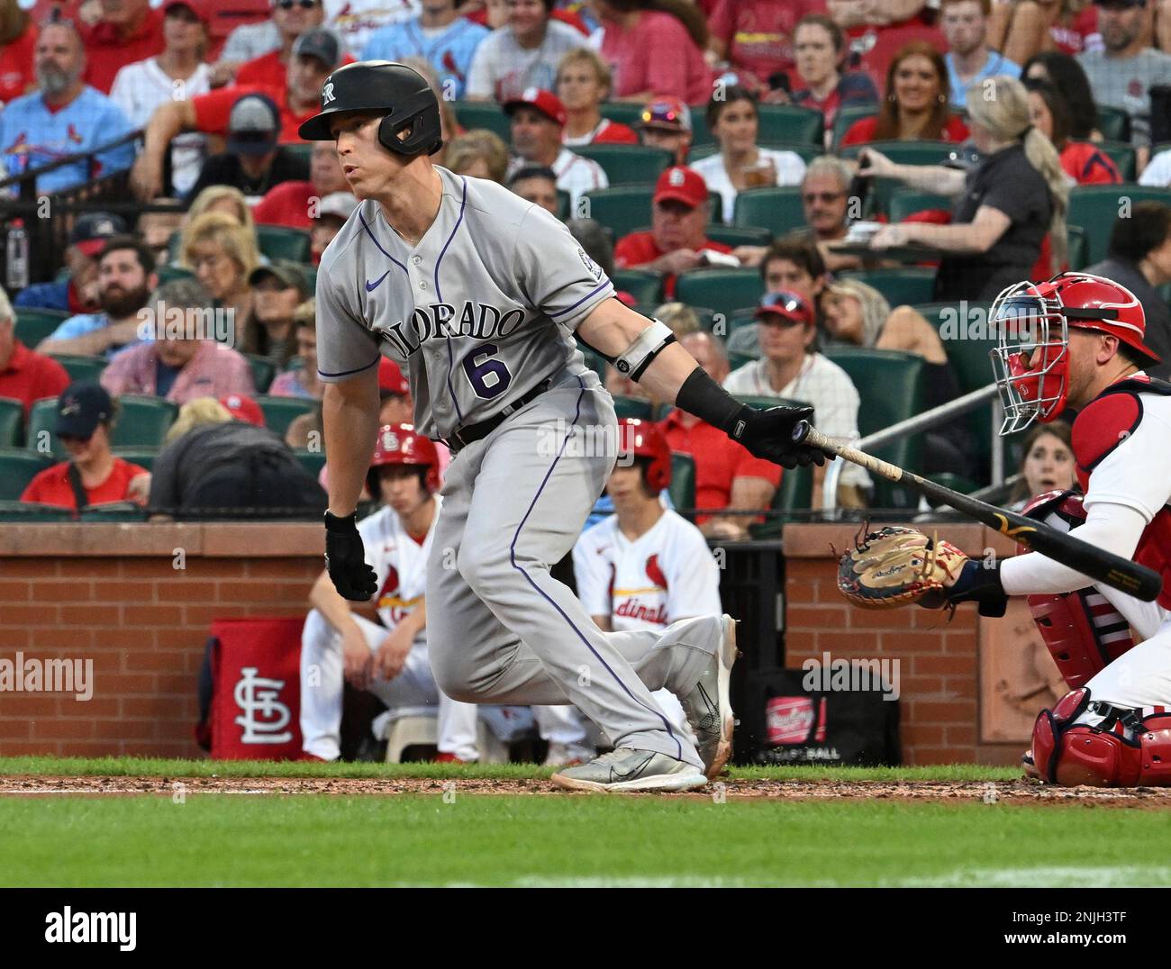 ST. LOUIS, MO - AUGUST 17: Colorado Rockies catcher Brian Serven (6 ...