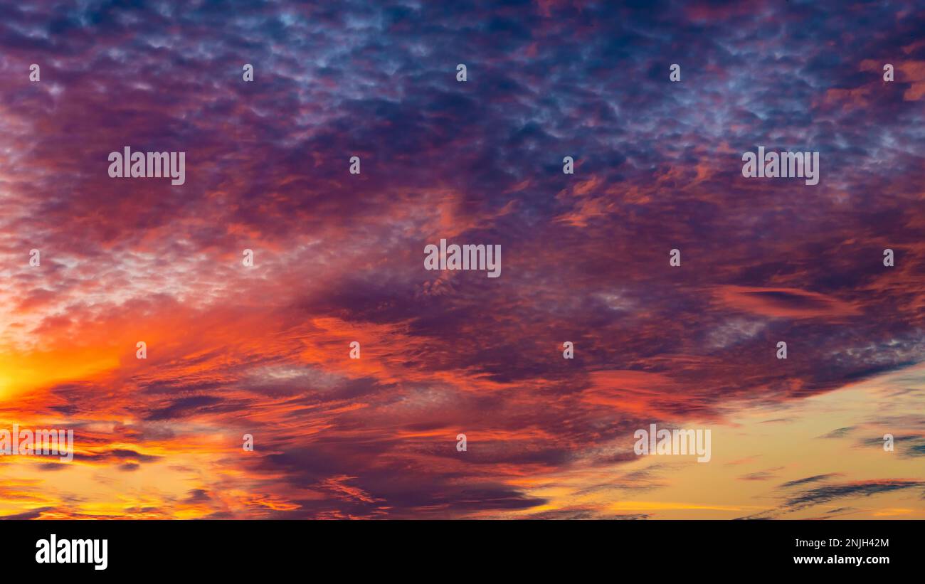 Sunset sky. Cirrocumulus and cirrostratus clouds during sunset. Beautiful dramatic sunset sky ...