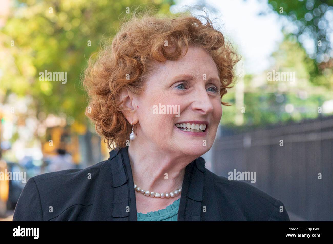 This photo provided by Jo Anne Simon For Congress campaign on July 11 ...