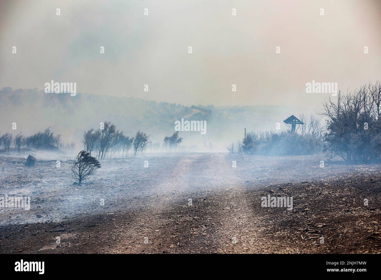 Burned area in the Bastión de la Calderona by the forest fire that goes ...