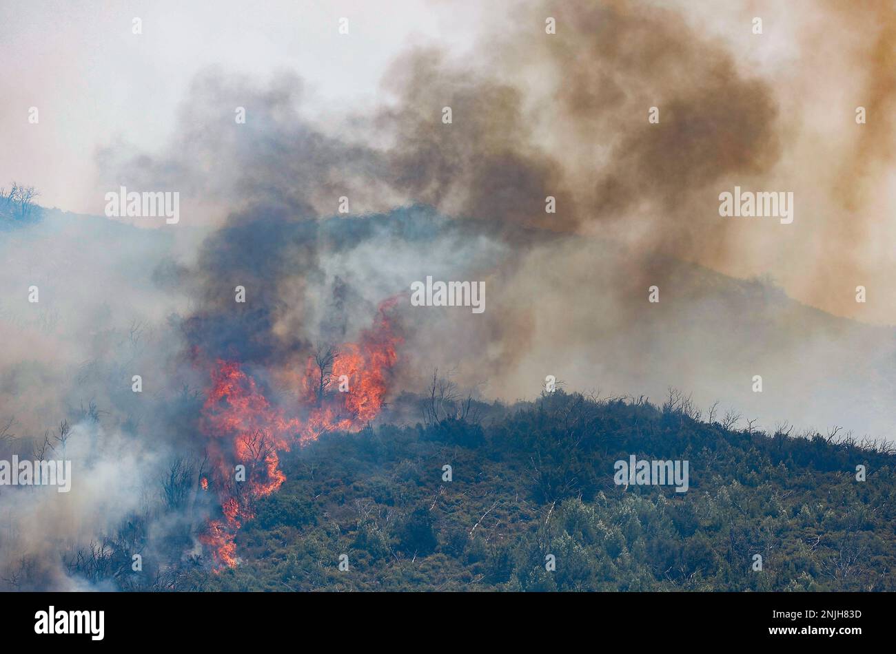 Smoke and flames in the forest fire that goes from Alcublas to the ...
