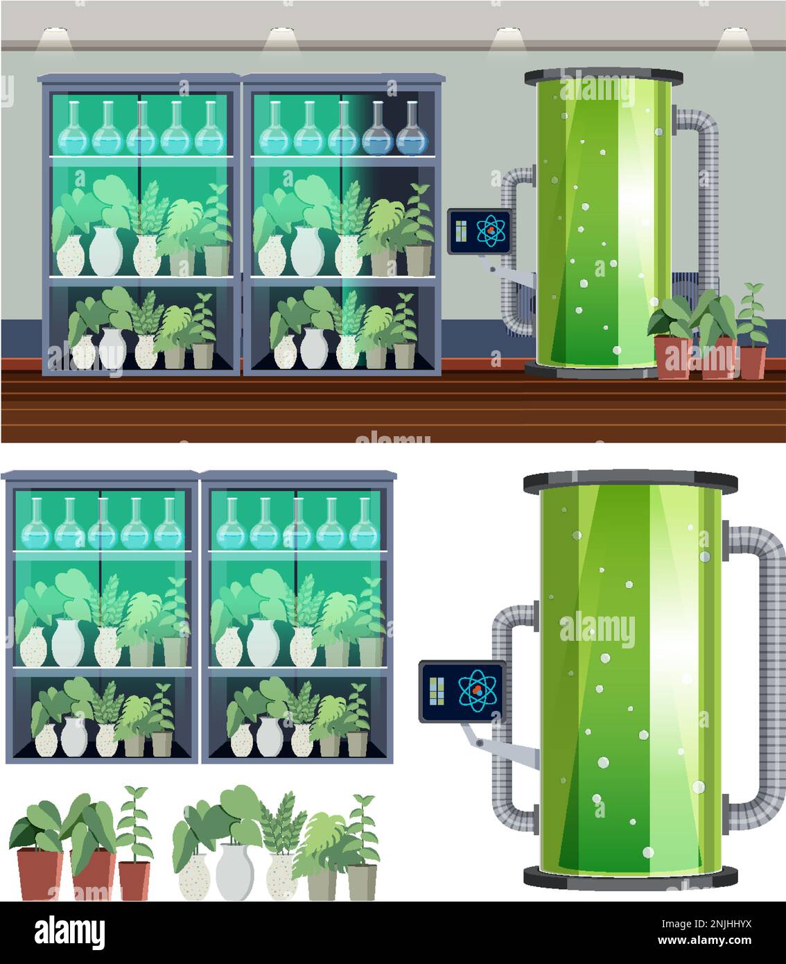 Set of plant laboratory experiment illustration Stock Vector Image ...