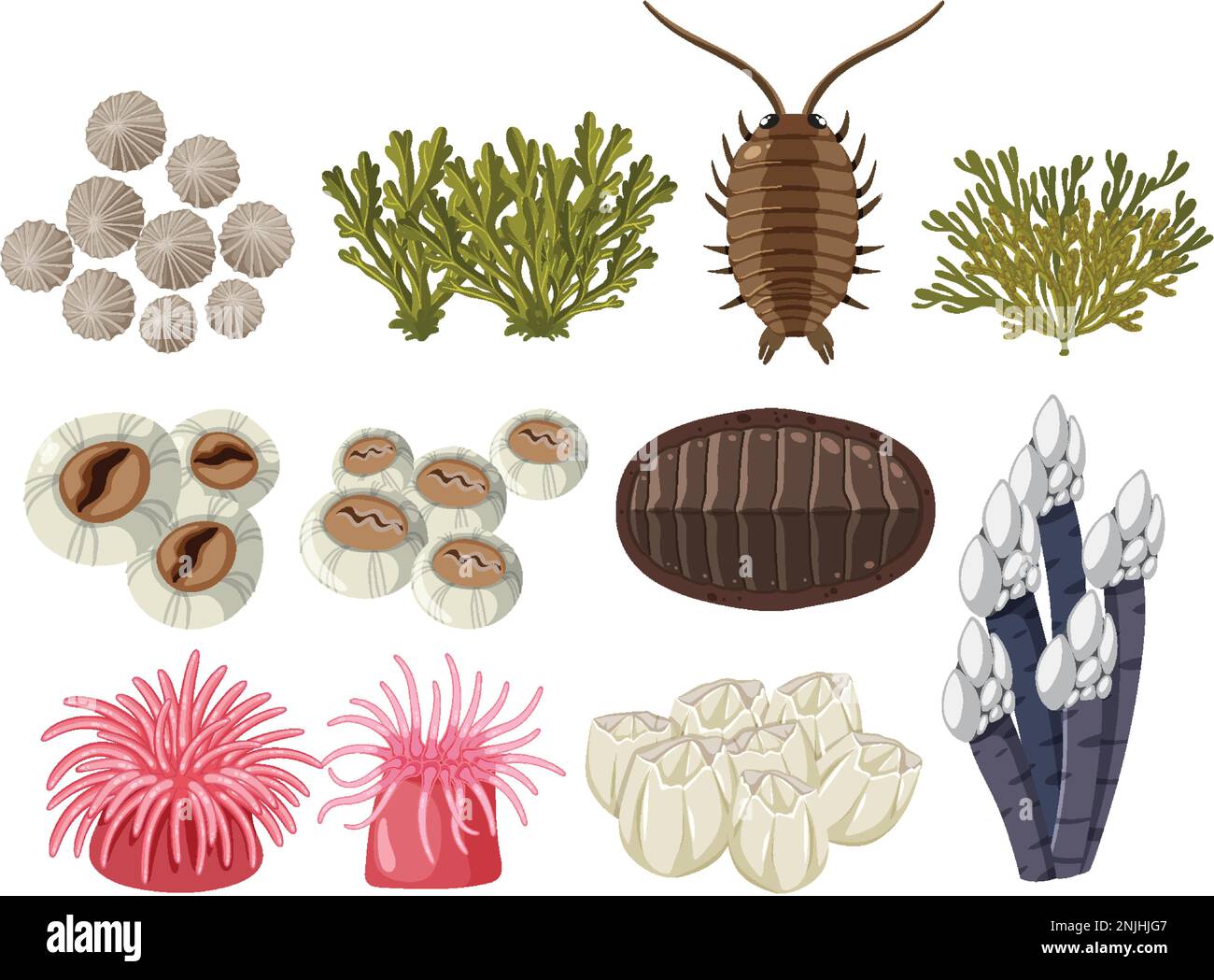 Rocky shore animals collection illustration Stock Vector Image & Art ...