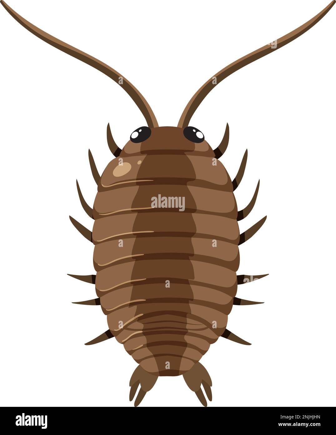 Sea louse Stock Vector Images - Alamy