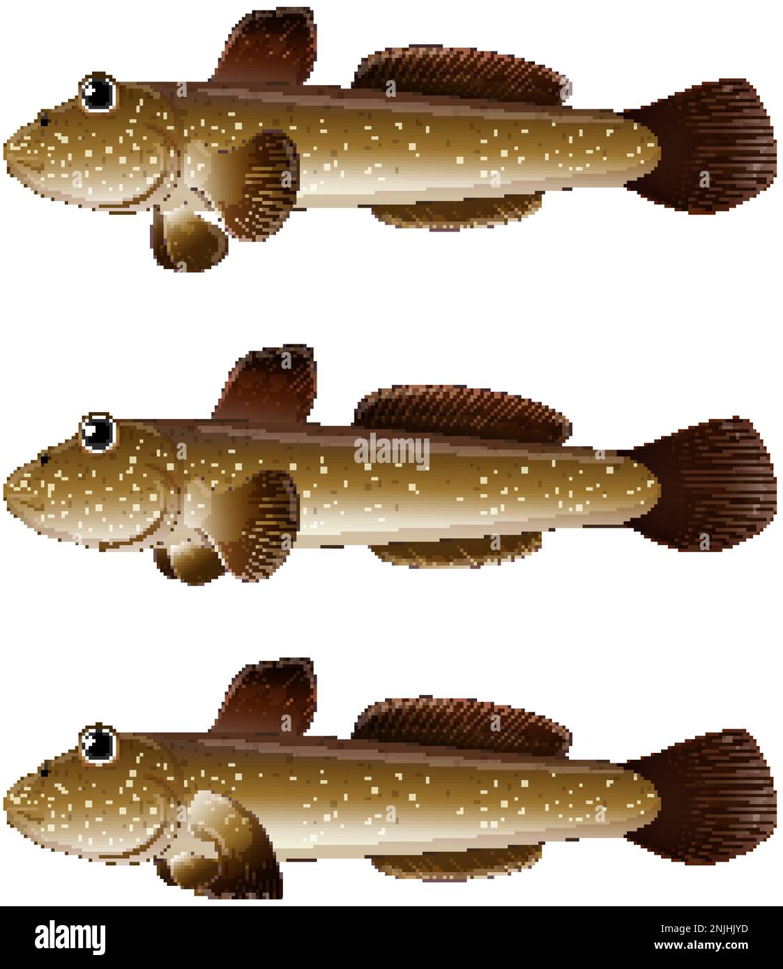 Mudskipper cartoon on white background illustration Stock Vector Image ...