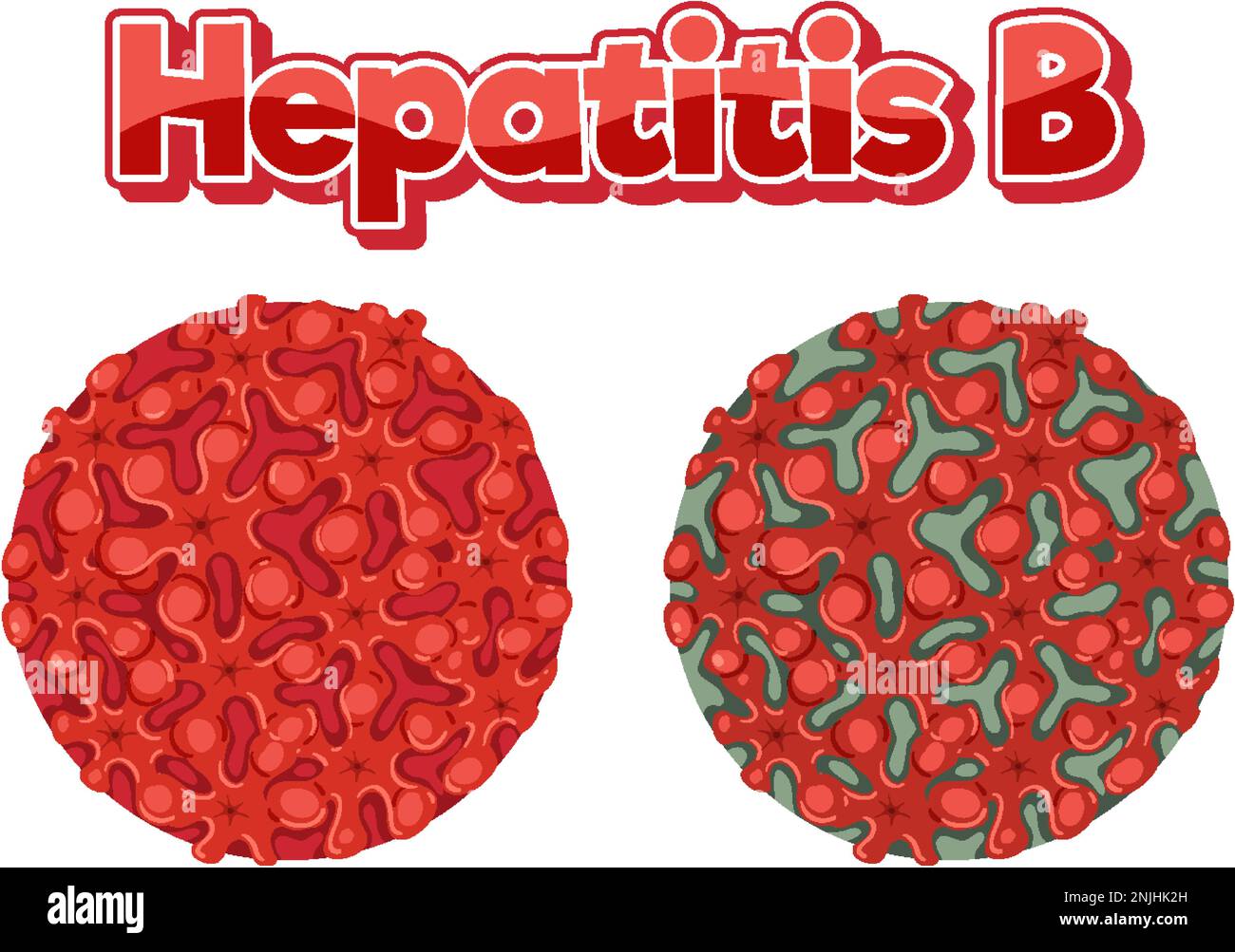 Hepatitis B virus (HBV) on white background illustration Stock Vector ...