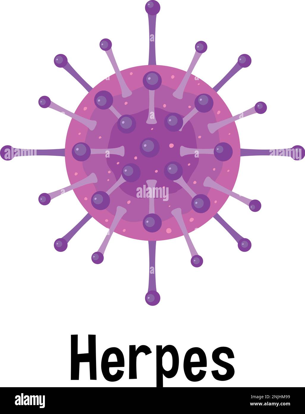 Herpes virus with text illustration Stock Vector Image & Art - Alamy