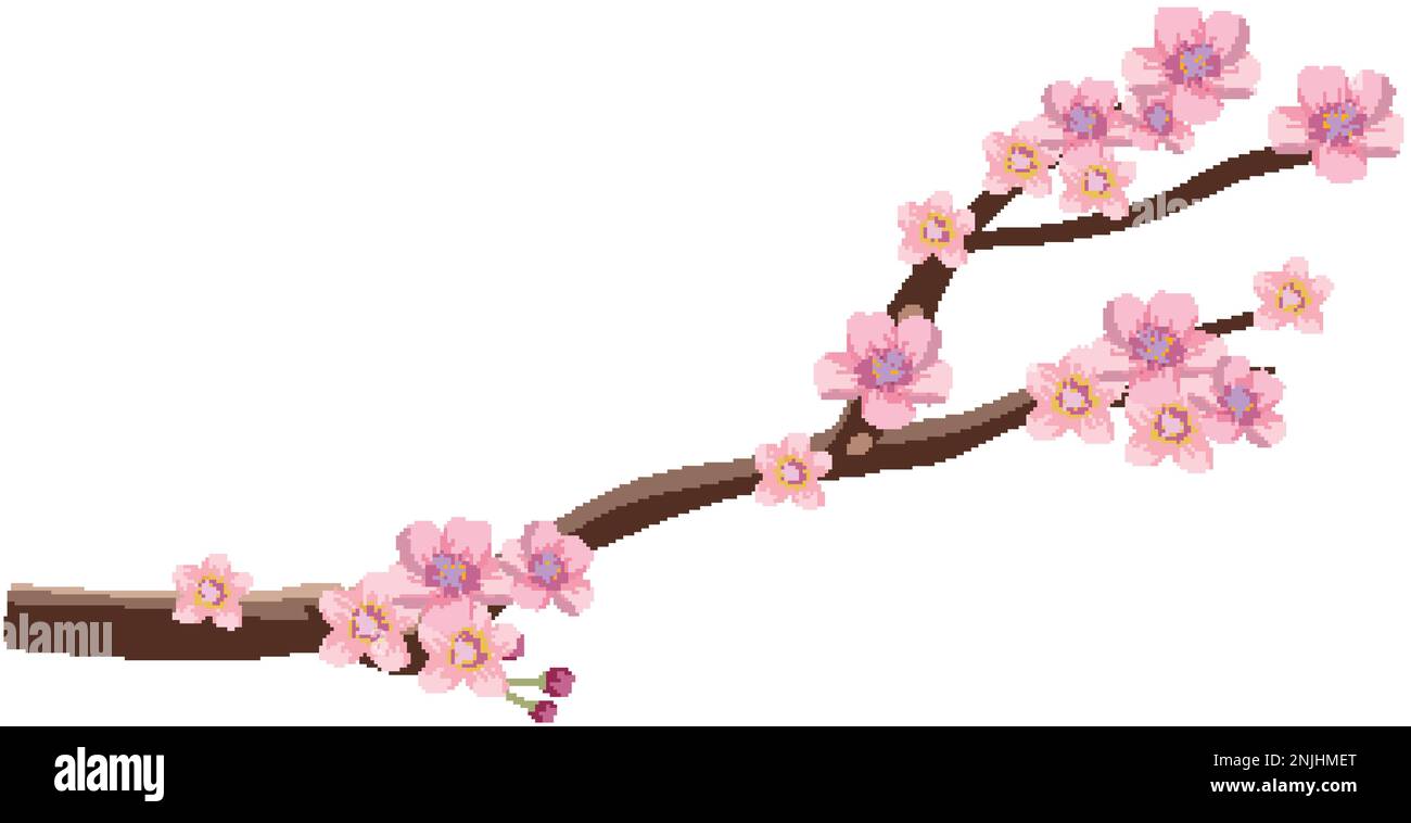 Japanese Cherry Blossom Vector Graphic illustration Stock Vector Image ...