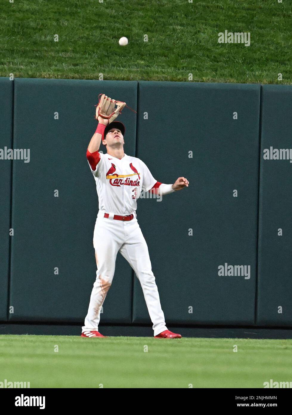 ST. LOUIS, MO - AUGUST 12: St. Louis Cardinals center fielder Dylan ...