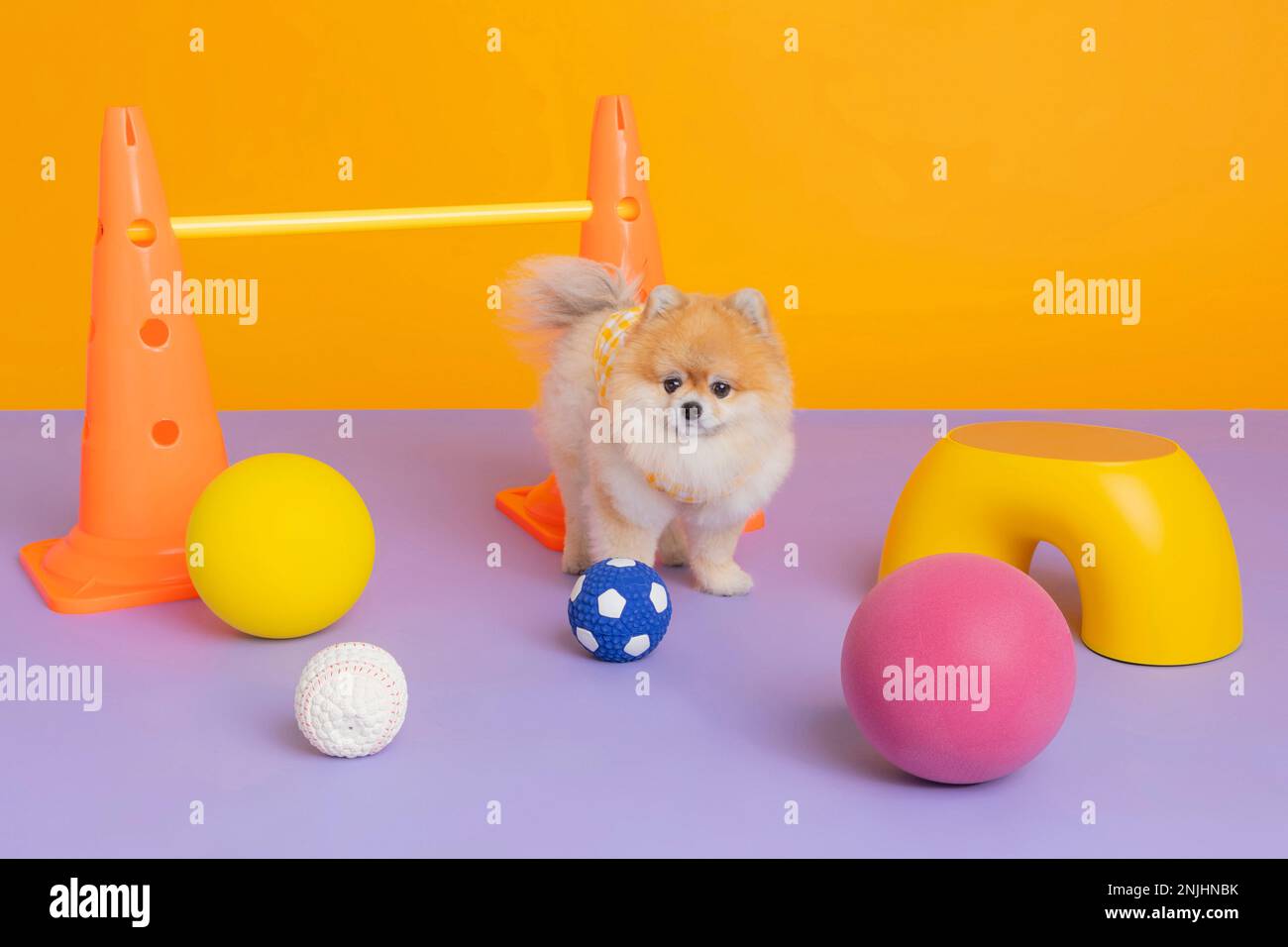 Potty training preschool hi-res stock photography and images - Alamy