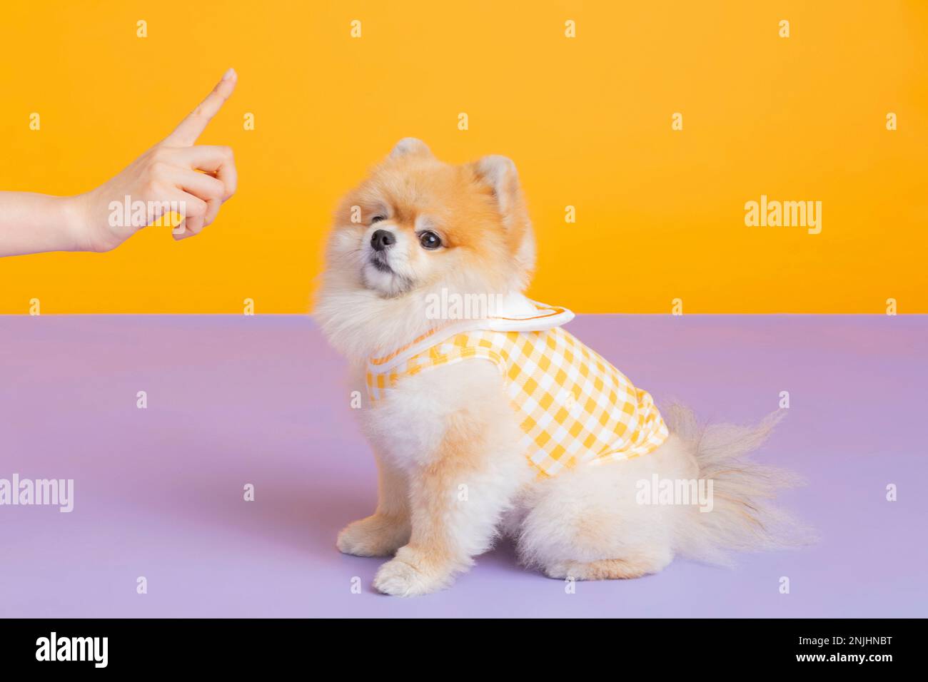 Potty training preschool hi-res stock photography and images - Alamy