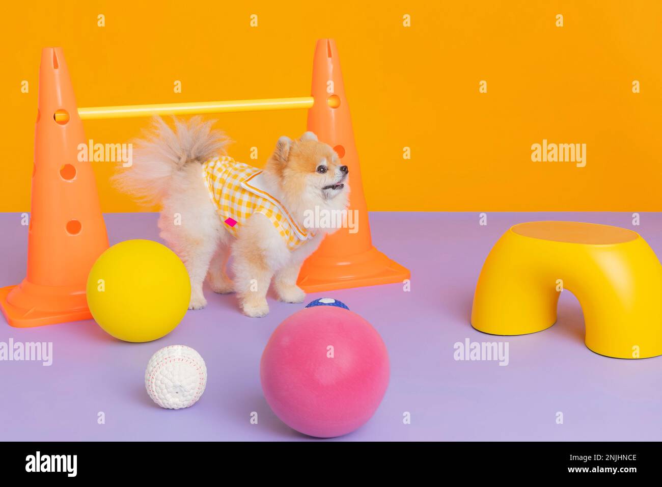 Potty training preschool hi-res stock photography and images - Alamy